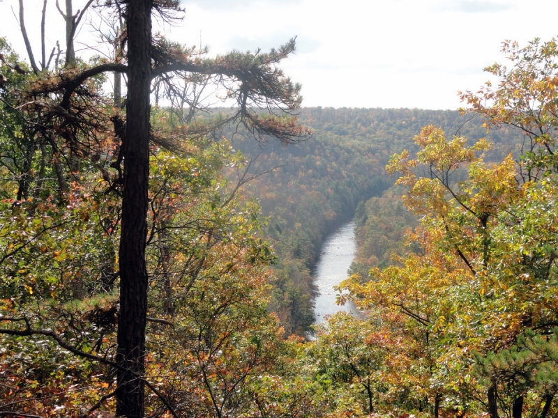 Allegheny Front Trail - Alchetron, The Free Social Encyclopedia