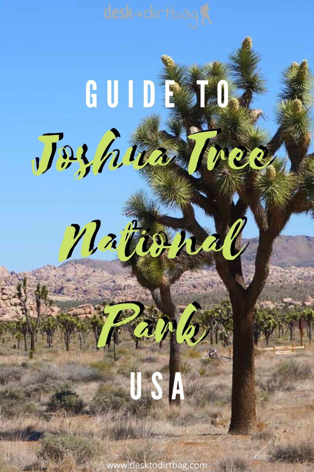 A Brief Guide to Joshua Tree National Park (One of California's Best Parks)